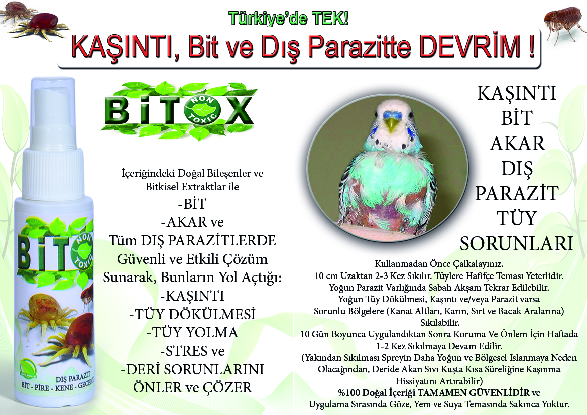 Bitox Sprey Muhabbet kuşu Papağan için Bit Pire Kaşıntı Spreyi - Vermx Tr